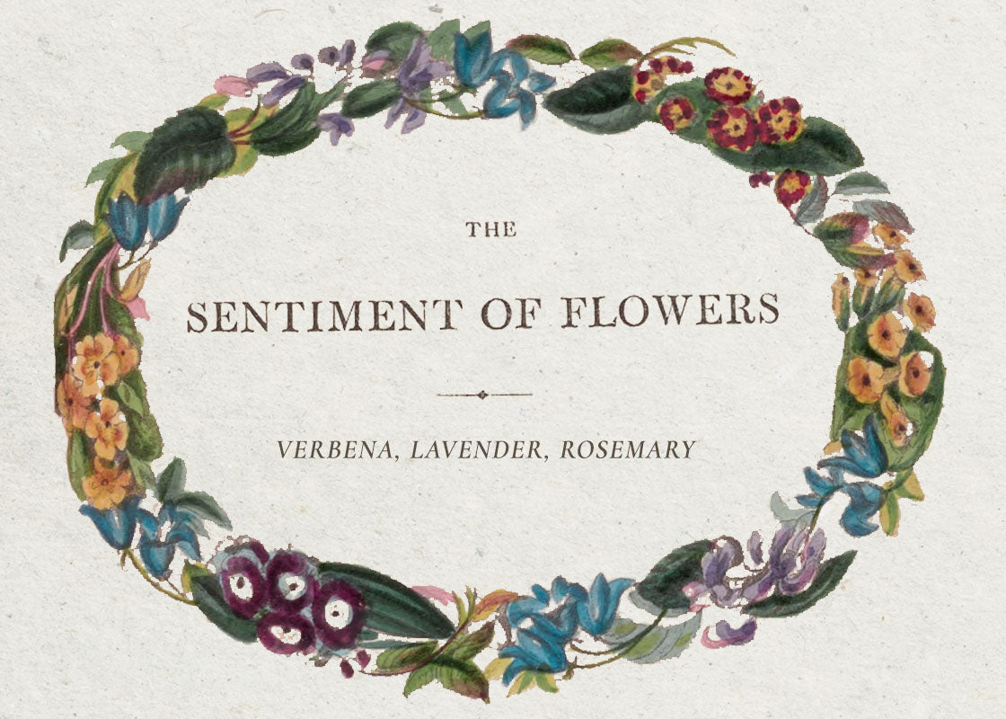 Language of Flowers: Verbena, Lavender, and Rosemary – Adored Vintage